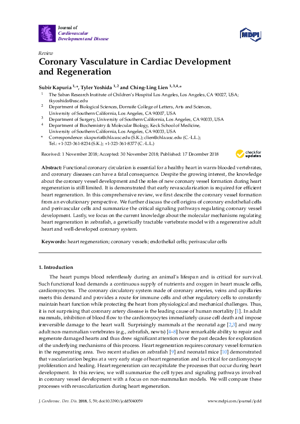 (PDF) Coronary Vasculature in Cardiac Development and Regeneration