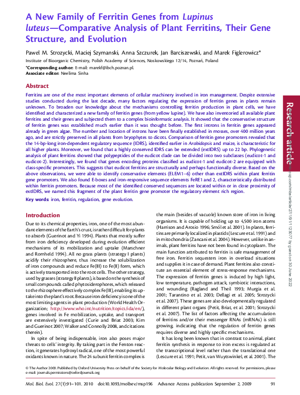 (PDF) A New Family of Ferritin Genes from Lupinus luteus--Comparative ...