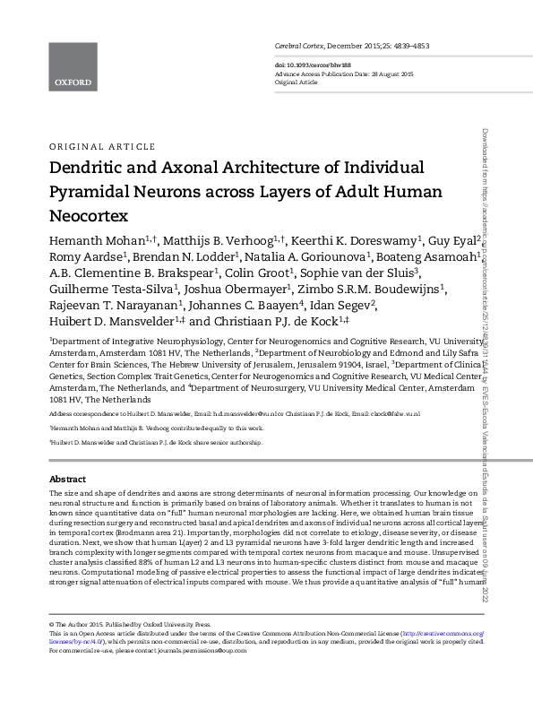 (PDF) Dendritic and Axonal Architecture of Individual Pyramidal Neurons ...