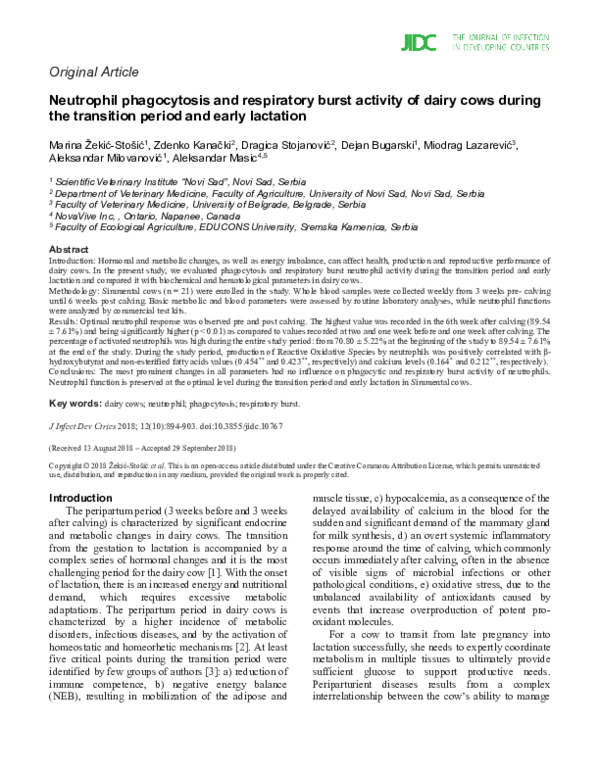 (PDF) Neutrophil phagocytosis and respiratory burst activity of dairy ...
