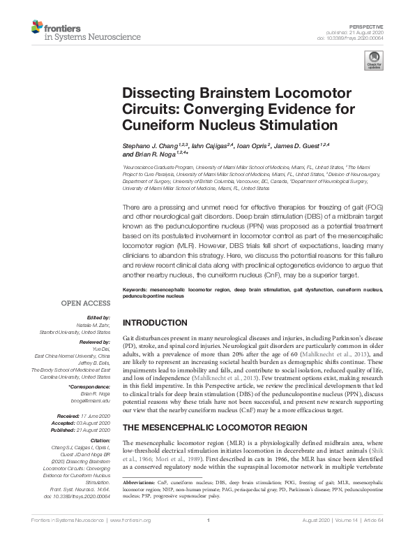 (PDF) Dissecting Brainstem Locomotor Circuits: Converging Evidence for ...