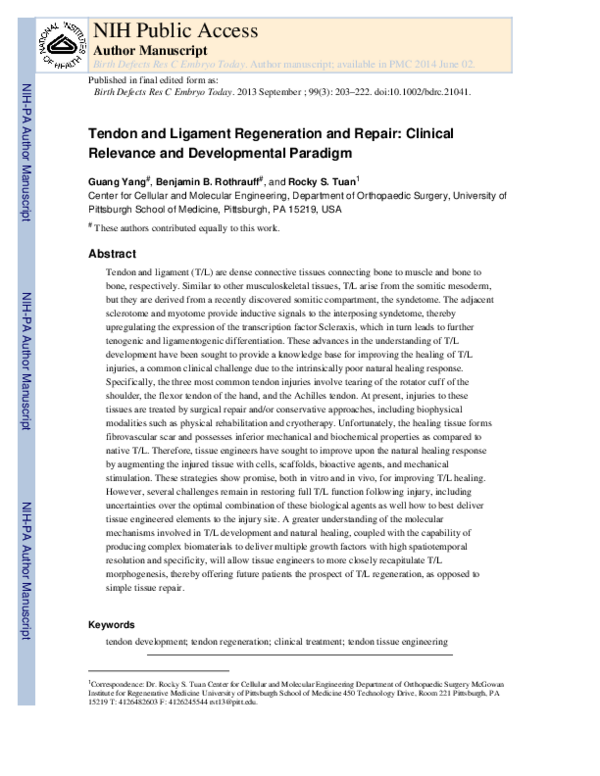(PDF) Tendon and ligament regeneration and repair: Clinical relevance ...