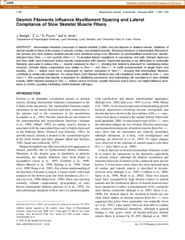 (PDF) Desmin Filaments Influence Myofilament Spacing and Lateral ...