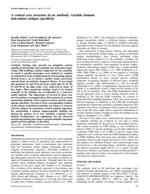 (PDF) A central core structure in an antibody variable domain ...