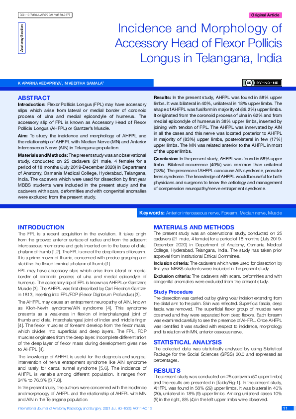 (PDF) Incidence and morphology of the accessory head of the flexor ...