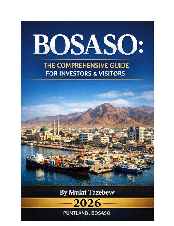 (PDF) BOSASO- THE COMPREHENSIVE GUIDE FOR INVESTORS & VISITORS