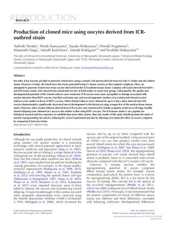 (PDF) Production of cloned mice using oocytes derived from ICR-outbred ...