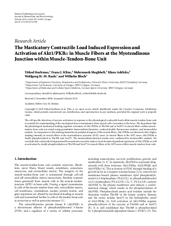 (PDF) The Masticatory Contractile Load Induced Expression and ...