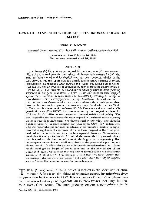 (PDF) Genetic Fine Structure of the BRONZE Locus in Maize