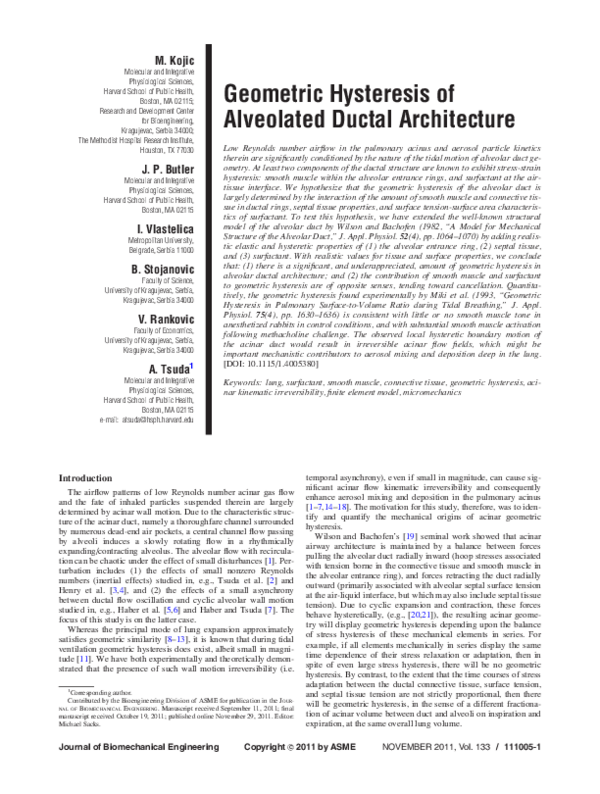 (PDF) Geometric Hysteresis of Alveolated Ductal Architecture