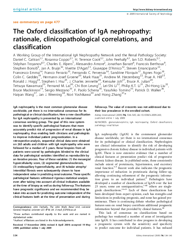 (PDF) The Oxford classification of IgA nephropathy: rationale ...