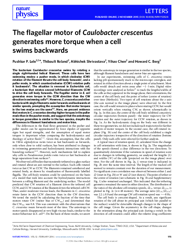(PDF) The flagellar motor of Caulobacter crescentus generates more ...