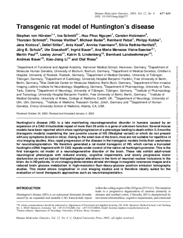 (PDF) Transgenic rat model of Huntington's disease
