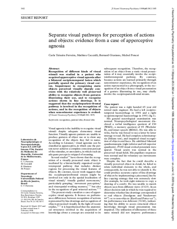 (PDF) Separate visual pathways for perception of actions and objects ...