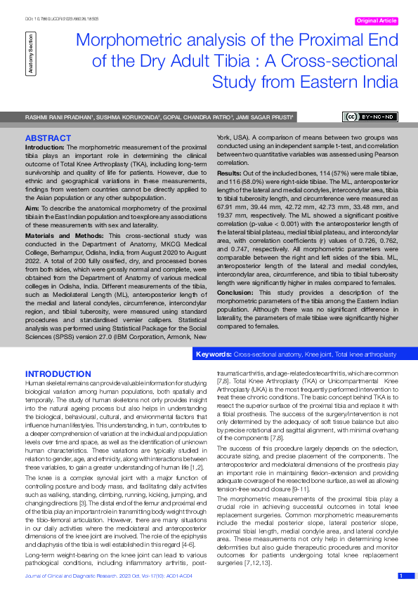 (PDF) Morphometric analysis of the Proximal End of the Dry Adult Tibia ...