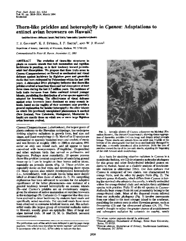 (PDF) Thorn-like prickles and heterophylly in Cyanea: adaptations to ...