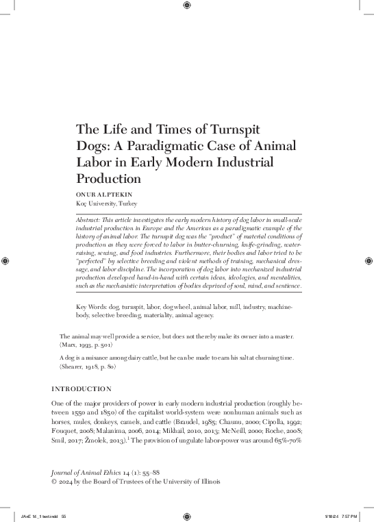 (PDF) The Life and Times of Turnspit Dogs: A Paradigmatic Case of ...