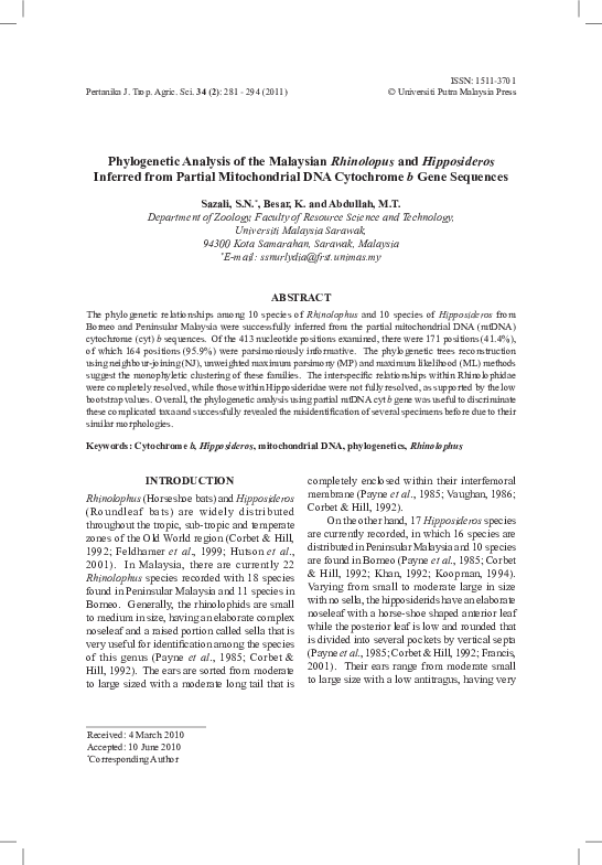 (PDF) Phylogenetic Analysis of the Malaysian Rhinolopus and ...