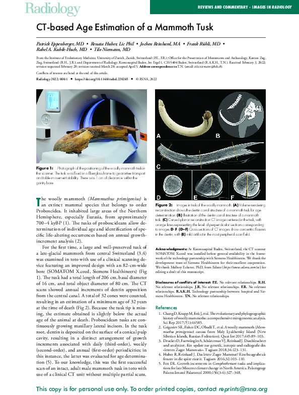 (PDF) CT-based Age Estimation of a Mammoth Tusk