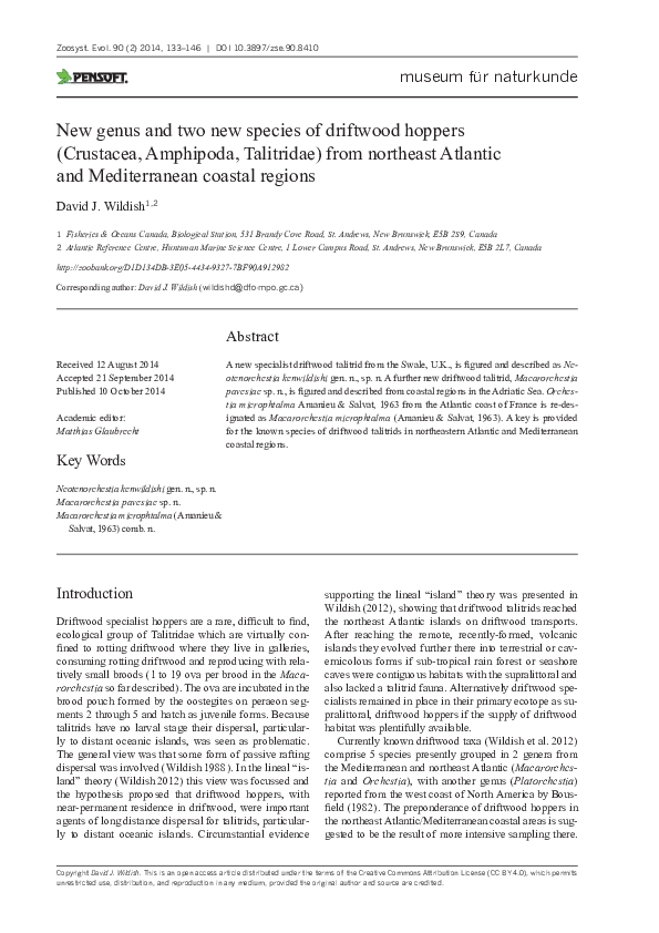 (PDF) New genus and two new species of driftwood hoppers (Crustacea ...