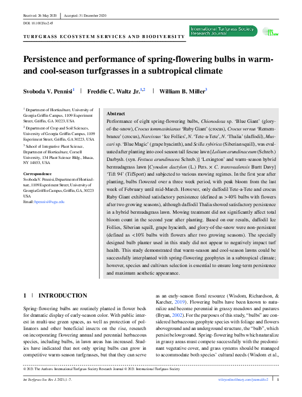 (PDF) Persistence and performance of spring-flowering bulbs in warm ...