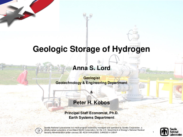 (PDF) Geologic storage of hydrogen