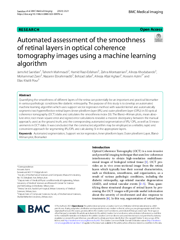 (PDF) Automated assessment of the smoothness of retinal layers in ...