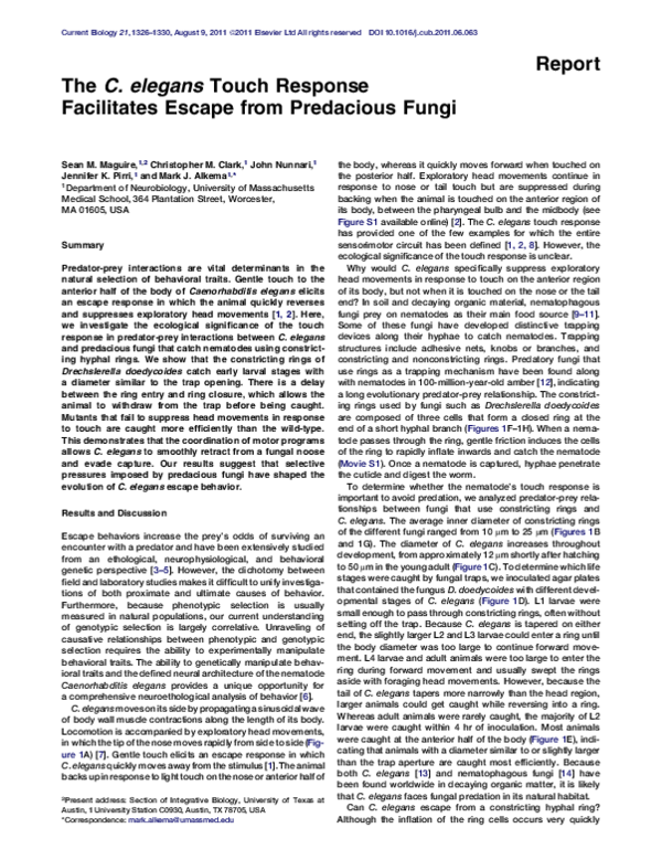 (PDF) The C. elegans touch response facilitates escape from predacious ...