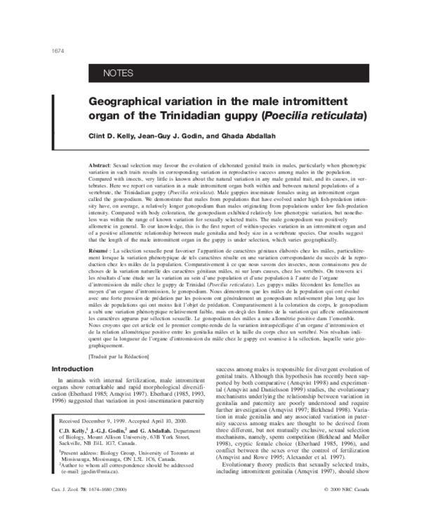 (PDF) Geographical variation in the male intromittent organ of the ...