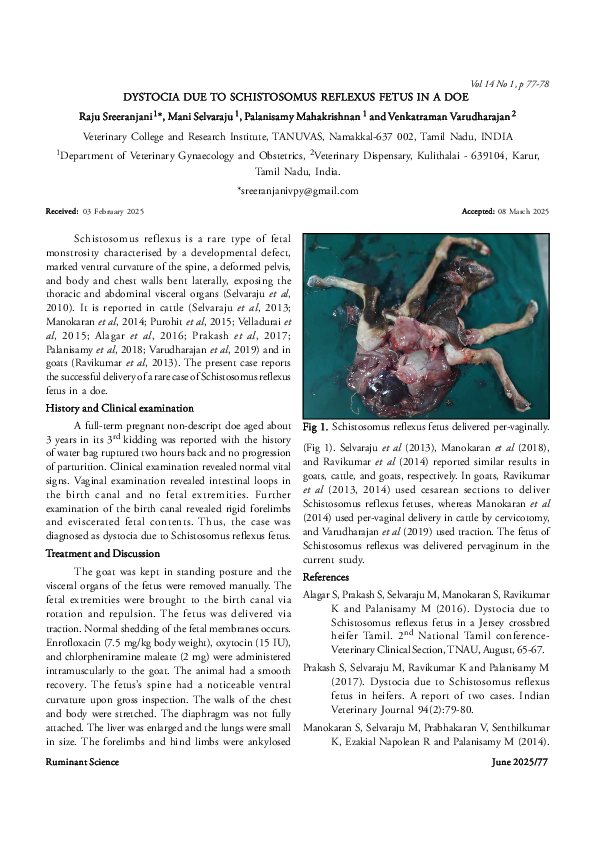 (PDF) DYSTOCIA DUE TO SCHISTOSOMUS REFLEXUS FETUS IN A DOE