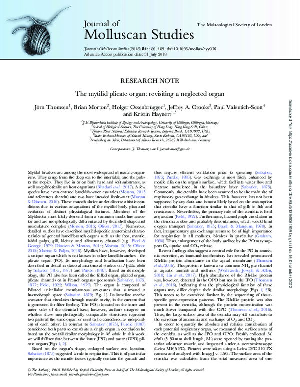 (PDF) The mytilid plicate organ: revisiting a neglected organ