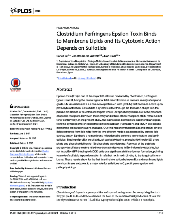 (PDF) Clostridium Perfringens Epsilon Toxin Binds to Membrane Lipids ...