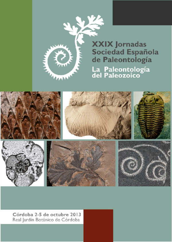 (PDF) Asociaciones de macrofósiles en rocas metamórficas del Complejo ...