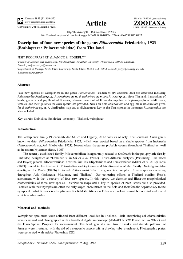 (PDF) Description of four new species of the genus Ptilocerembia ...