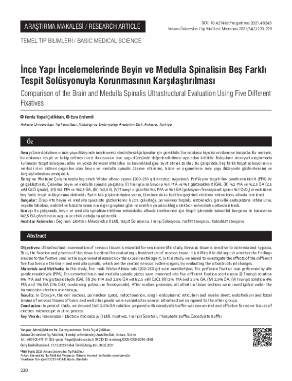 (PDF) Comparison of the Brain and Medulla Spinalis Ultrastructural ...