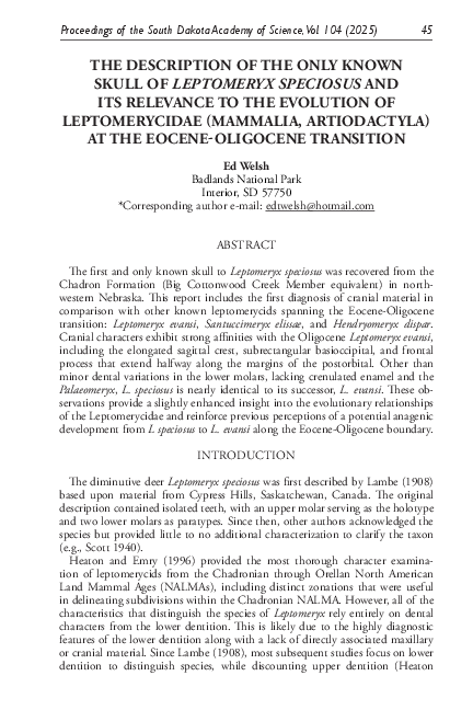 (PDF) THE DESCRIPTION OF THE ONLY KNOWN SKULL OF LEPTOMERYX SPECIOSUS ...