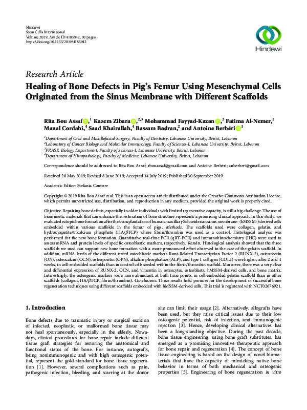 (PDF) Healing of Bone Defects in Pig's Femur Using Mesenchymal Cells ...