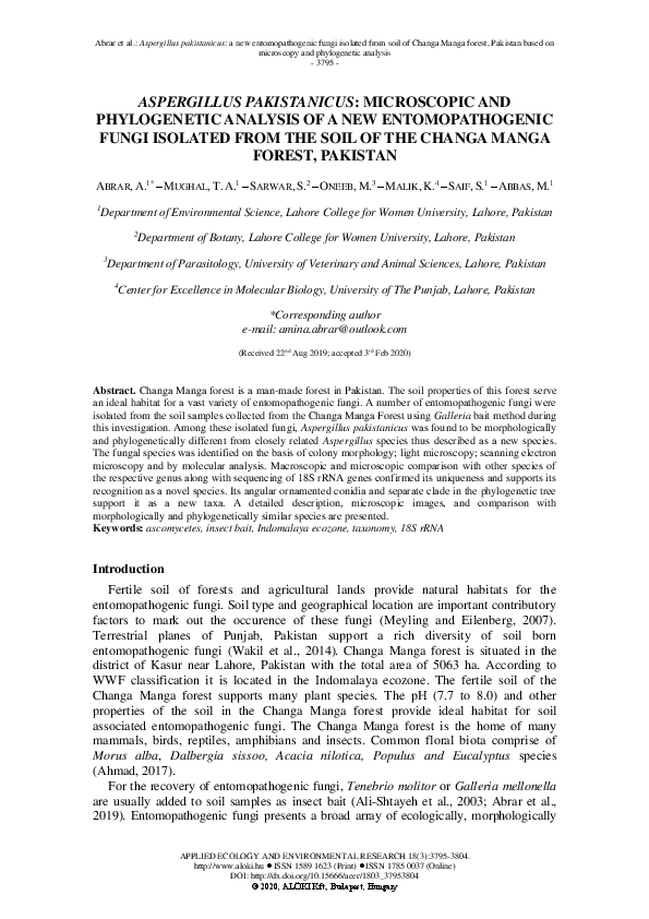 (PDF) Aspergillus Pakistanicus: Microscopic and Phylogenetic Analysis ...
