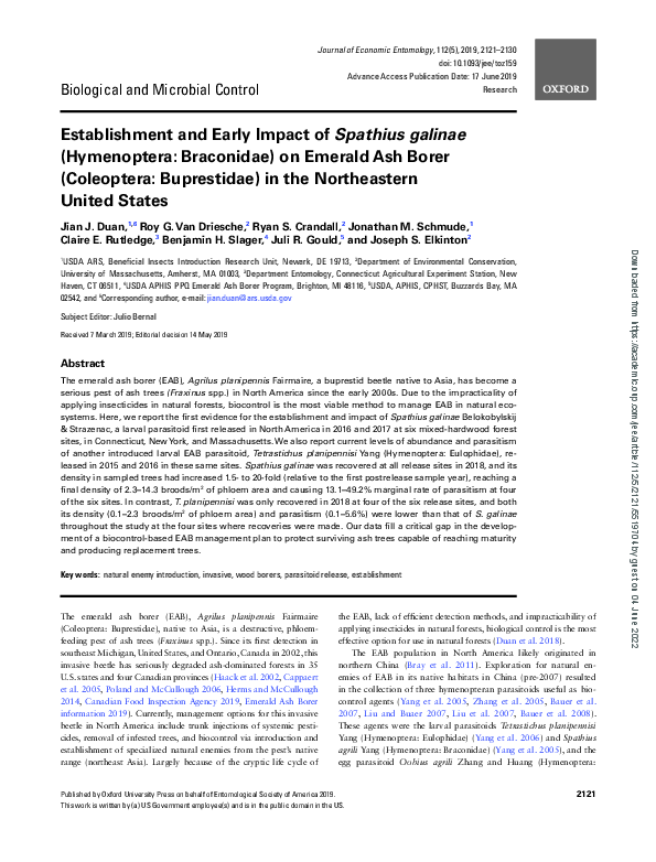 (PDF) Establishment and Early Impact of Spathius galinae (Hymenoptera ...