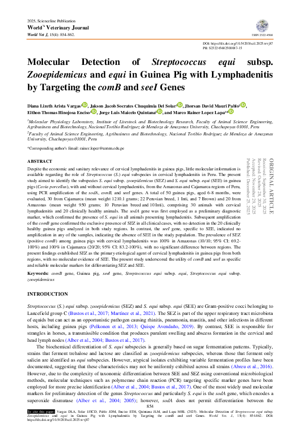 (PDF) Molecular Detection of Streptococcus equi subsp. Zooepidemicus ...