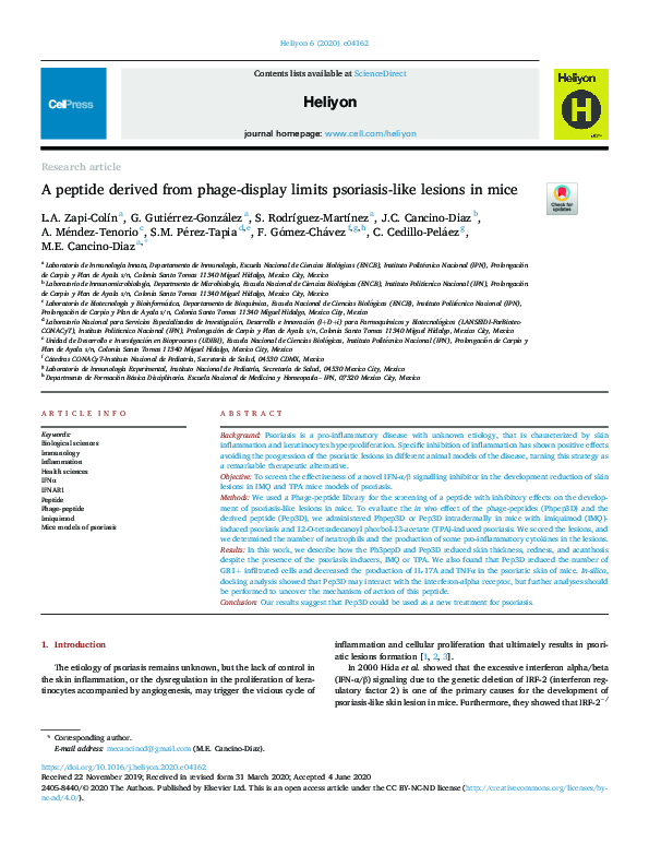 (PDF) A peptide derived from phage-display limits psoriasis-like ...