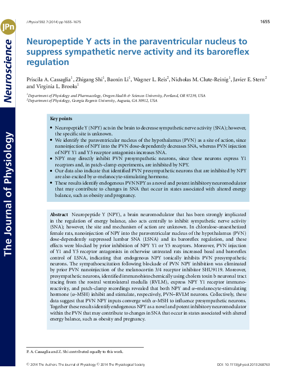(PDF) Neuropeptide Y acts in the paraventricular nucleus to suppress ...