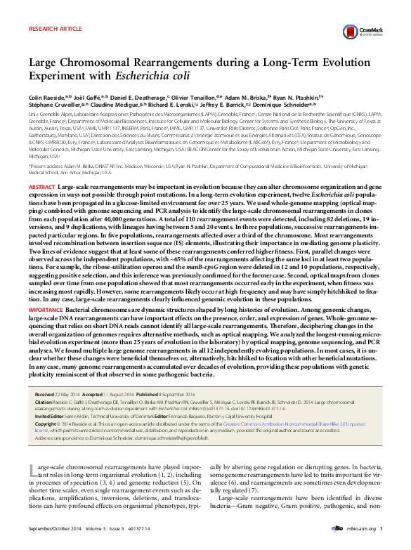 (PDF) Large Chromosomal Rearrangements during a Long-Term Evolution ...