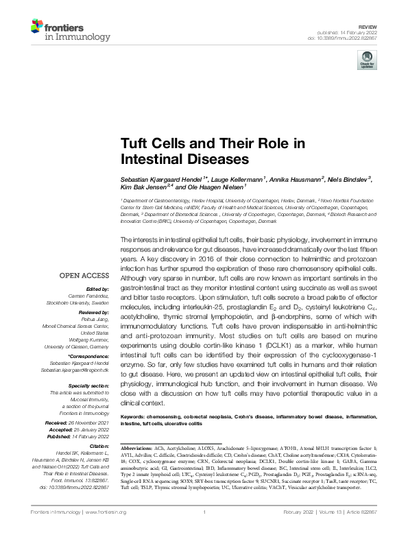 (PDF) Tuft Cells and Their Role in Intestinal Diseases