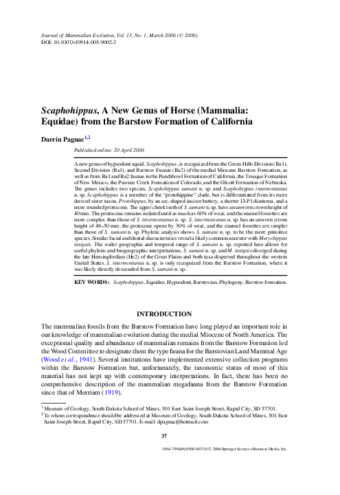 (PDF) Scaphohippus, a New Genus of Horse (Mammalia: Equidae) From the ...