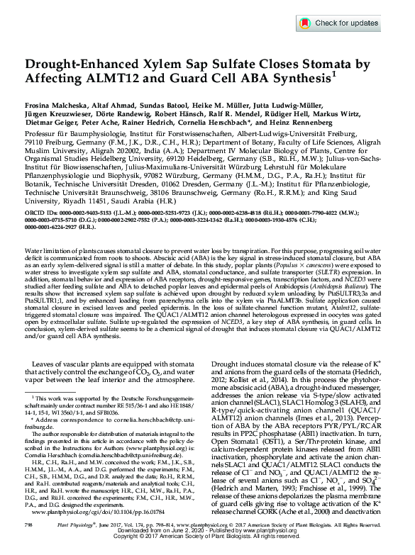 (PDF) Drought enhanced xylem sap sulfate closes stomata by affecting ...
