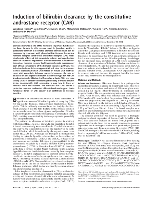 (PDF) Induction of bilirubin clearance by the constitutive androstane ...