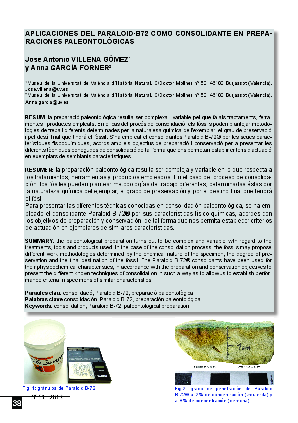 (PDF) APLICACIONES DEL PARALOID-B72 COMO CONSOLIDANTE EN PREPA-RACIONES ...
