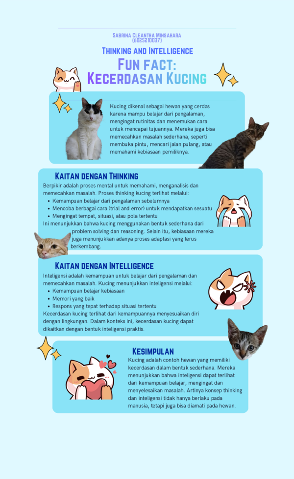 (PDF) Infografis fun fact kecerdasan kucing