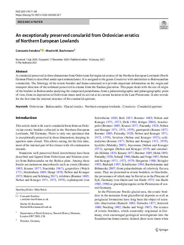 (PDF) An exceptionally preserved conulariid from Ordovician erratics of ...